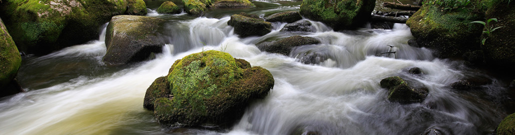 irrel-eifel.de – Ortsgemeinde Irrel